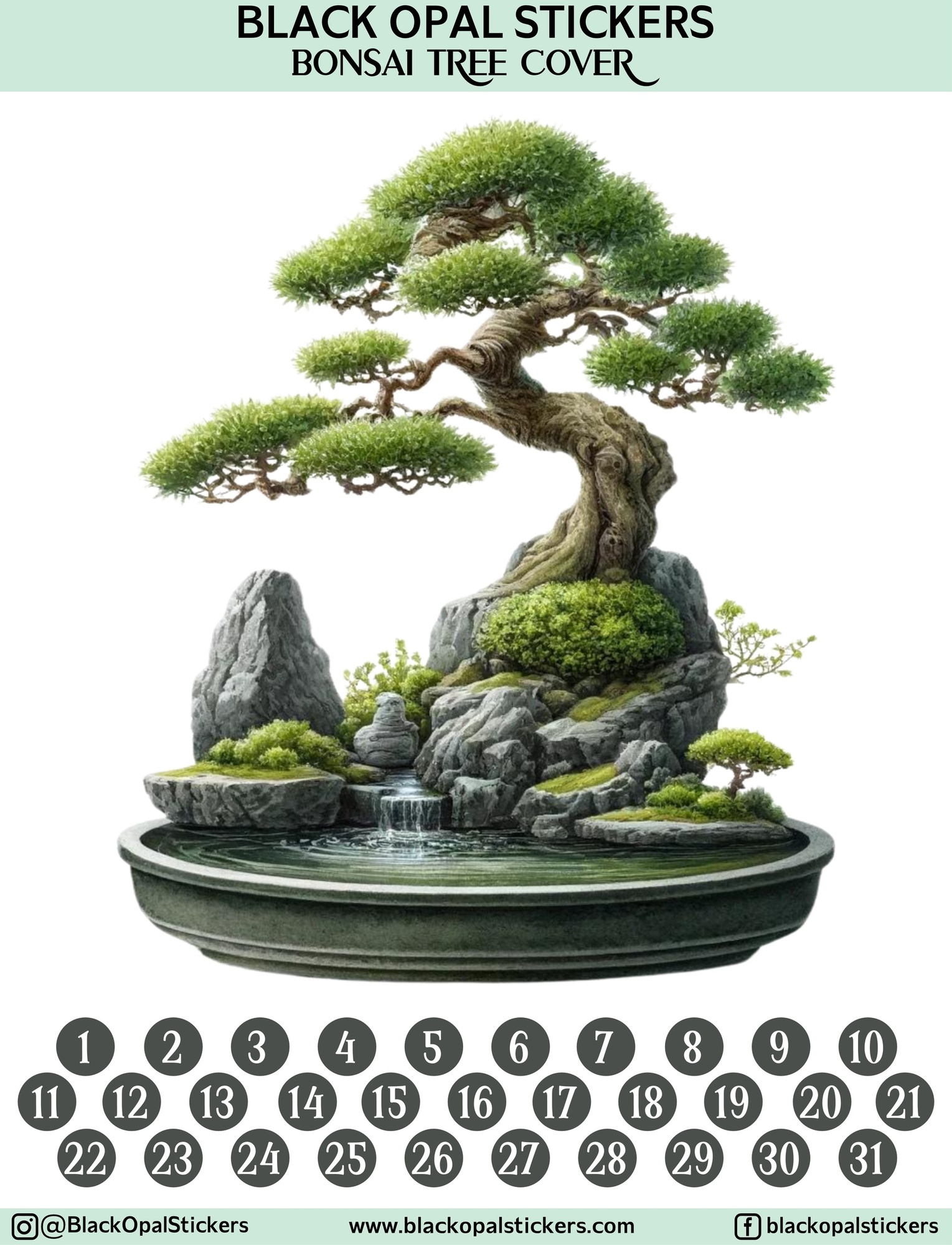 Bonsai Tree Cover Page
