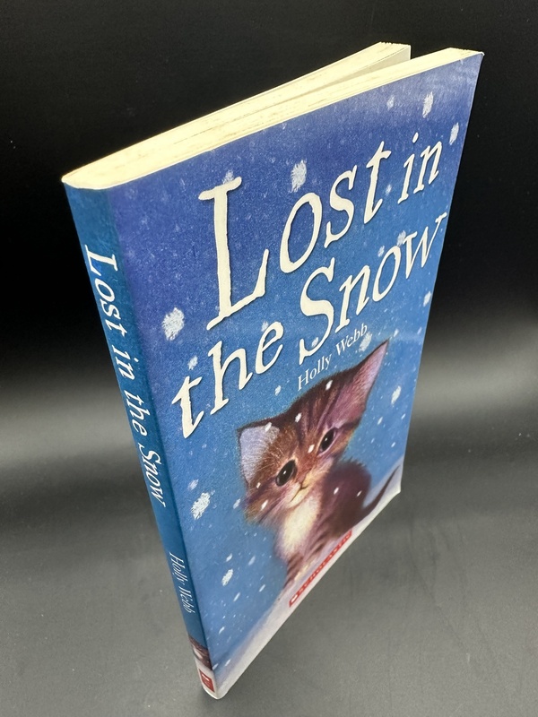 Lost in the Snow - Holly Webb