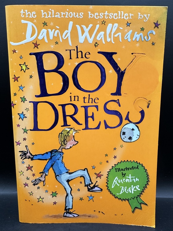 The Boy in the Dress - David Walliams