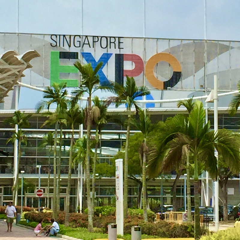 Site Visit - The versatile Singapore Expo, Singapore